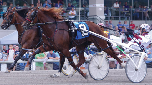 Harness Racing Track | Hollywood Casino Raceway Bangor